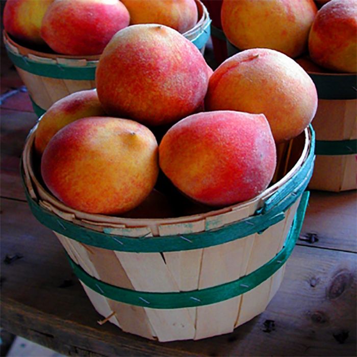Just Peachy Goat Milk Soap – Wholly Goat Soaps